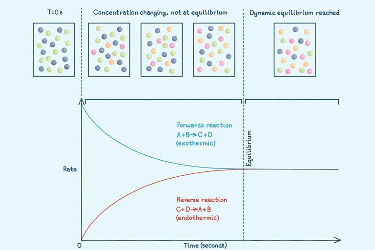 Help learners master equilibrium and reversible reactions | Poster ...